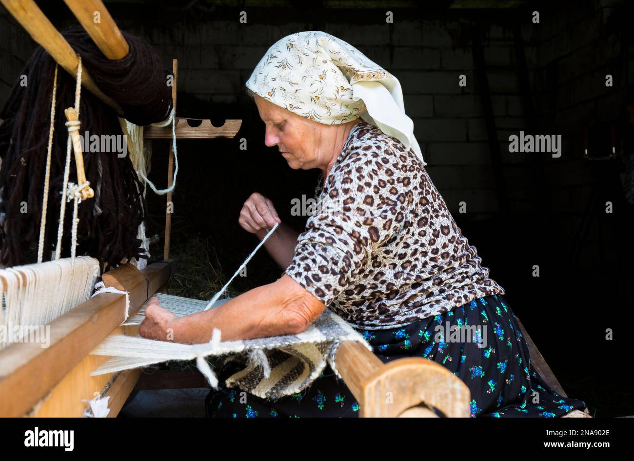Tradiaonally dressed woman weaving at loom in village in Maramureș ...