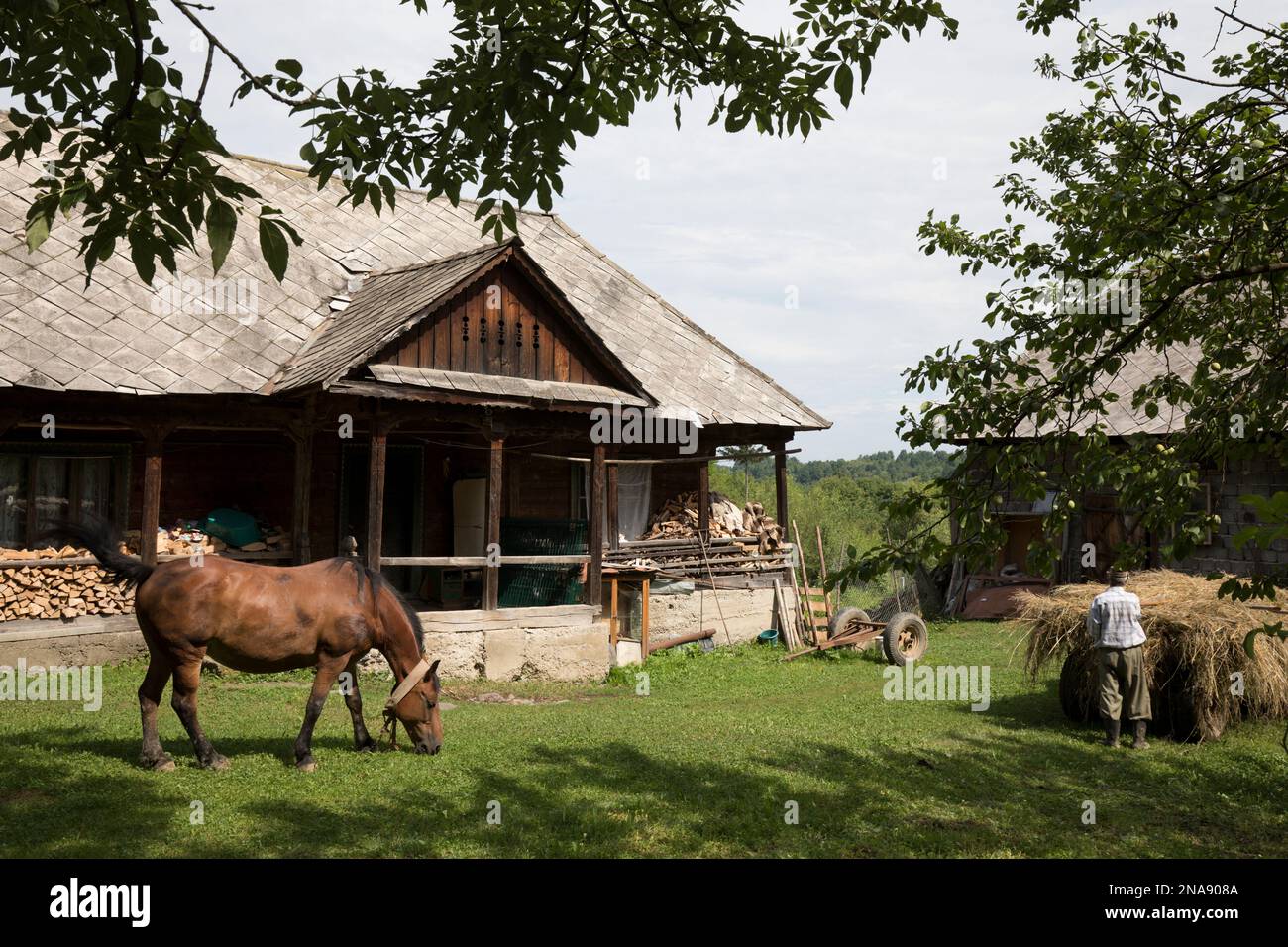 Tradiaonal wooden house with horse and farmer unloading hay from cart ...