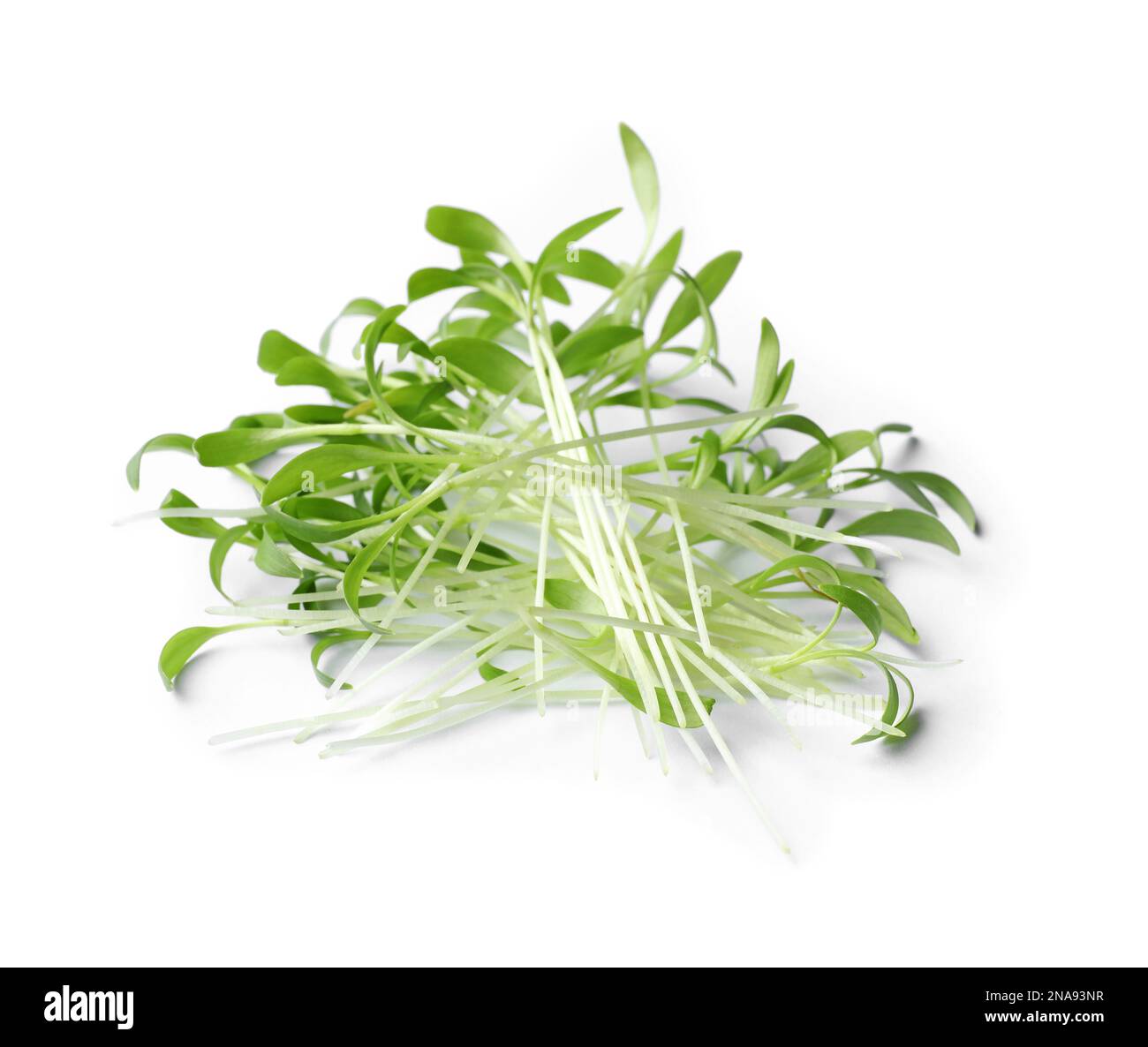 Pile of fresh microgreens isolated on white Stock Photo - Alamy