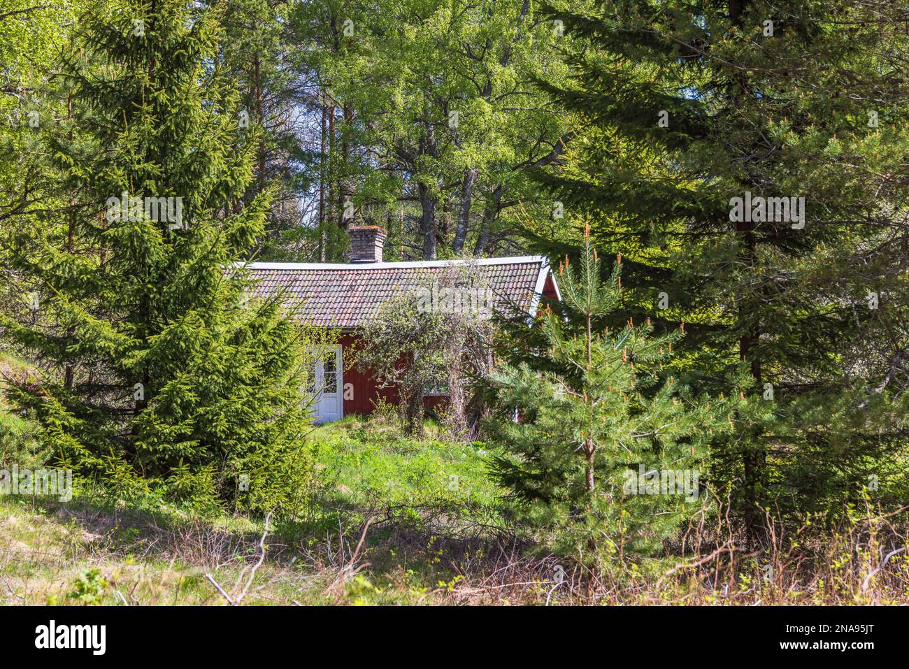 Little red cottage in the forest Stock Photo - Alamy