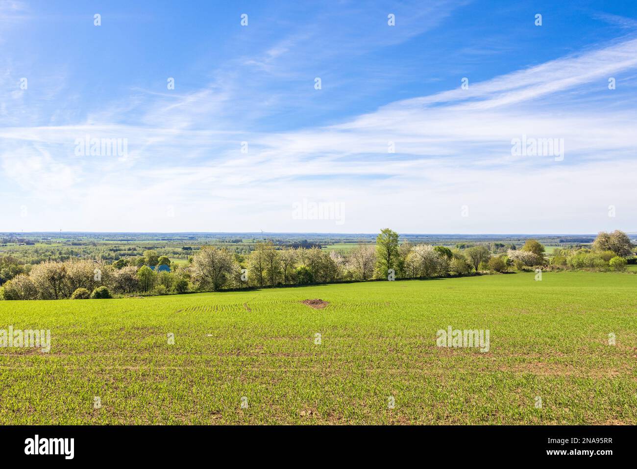 Bright springtime view hi-res stock photography and images - Alamy