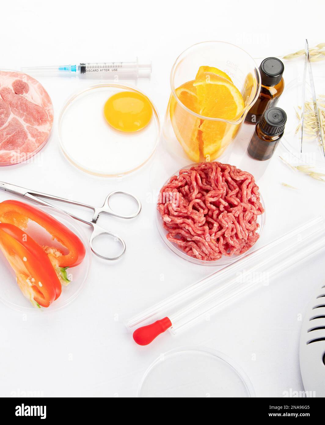 Laboratory assistant in the laboratory of food quality. Cell culture ...