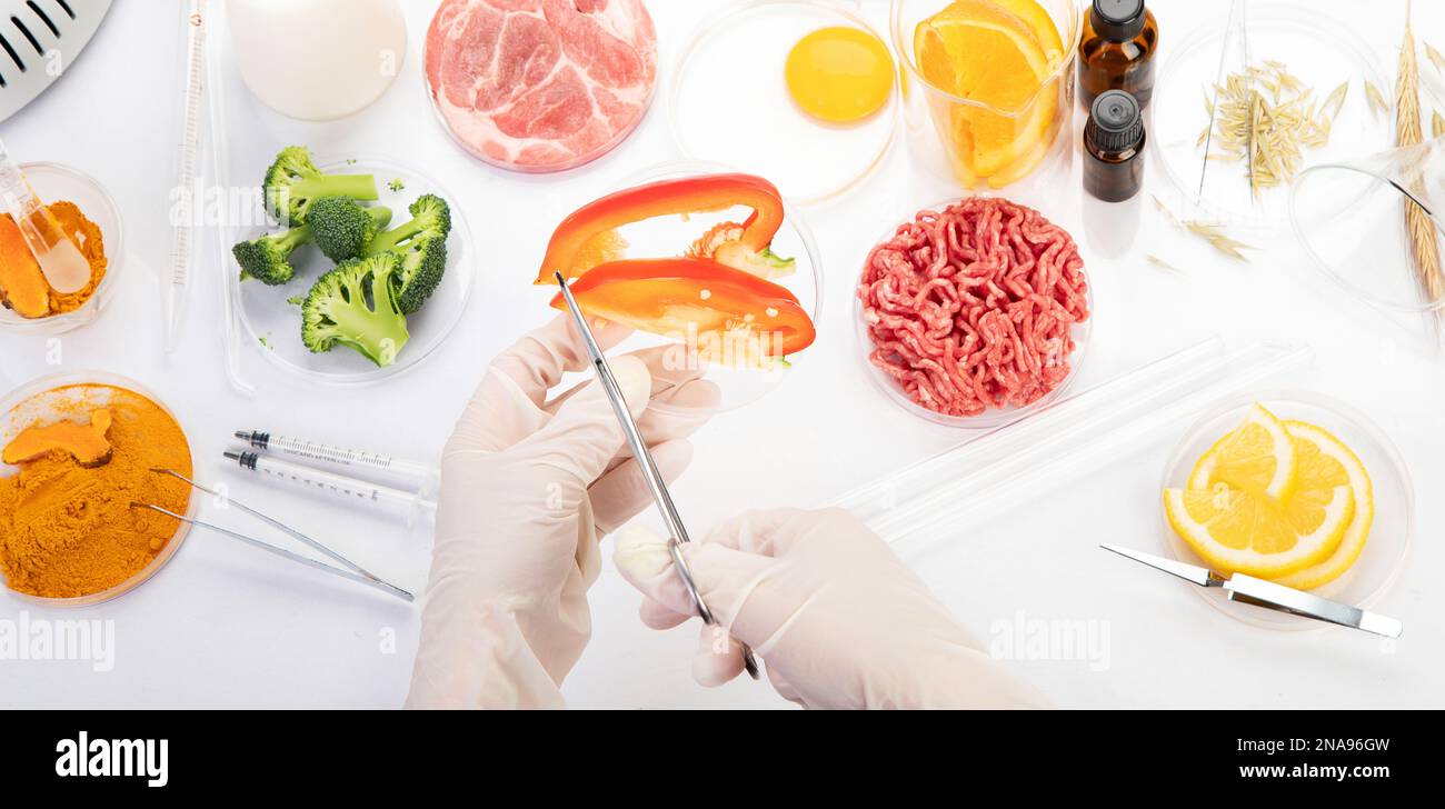 Laboratory assistant in the laboratory of food quality. Cell culture ...