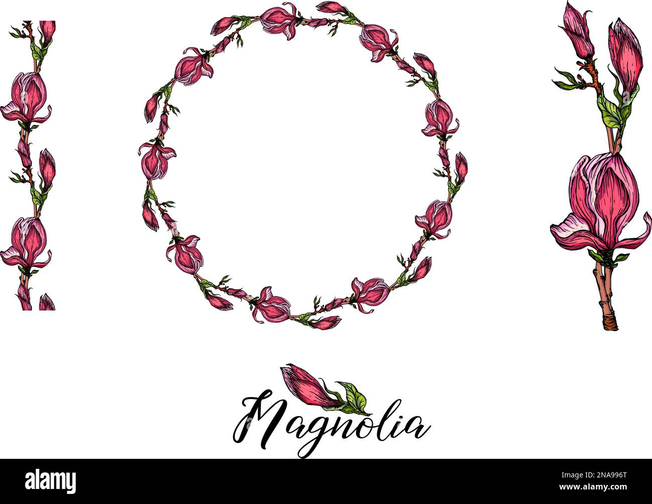Set of vector flower arrangements with Magnolia flowers. Delicate ...