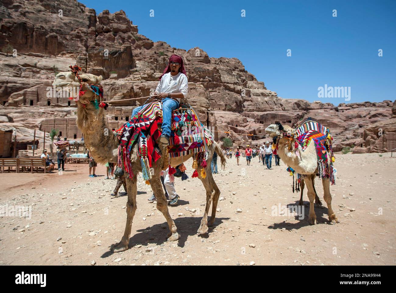 A Bedouin man riding a camel adorned with colourful blankets at the ...