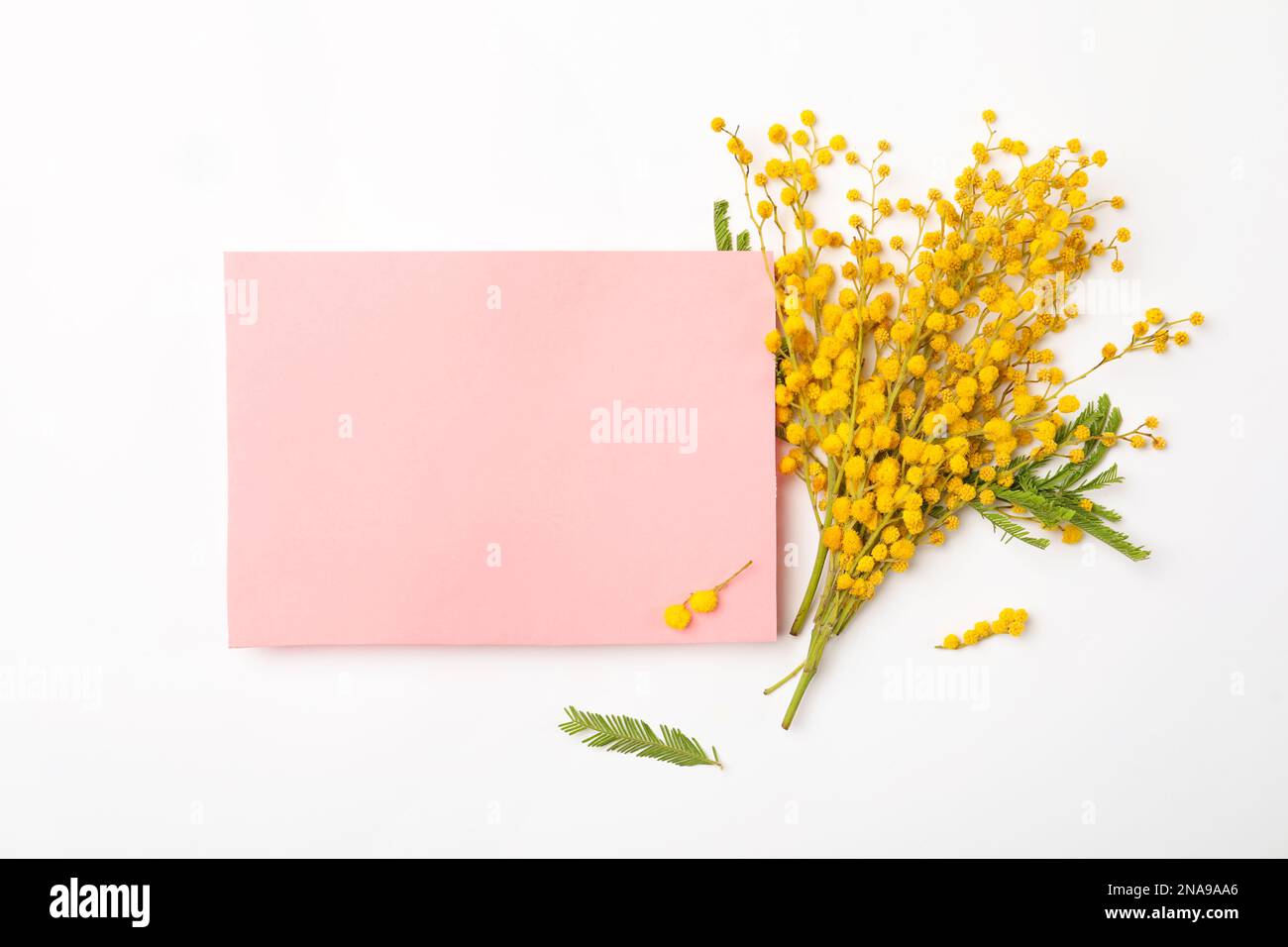 Beautiful mimosa flowers and paper note on white background, flat lay ...