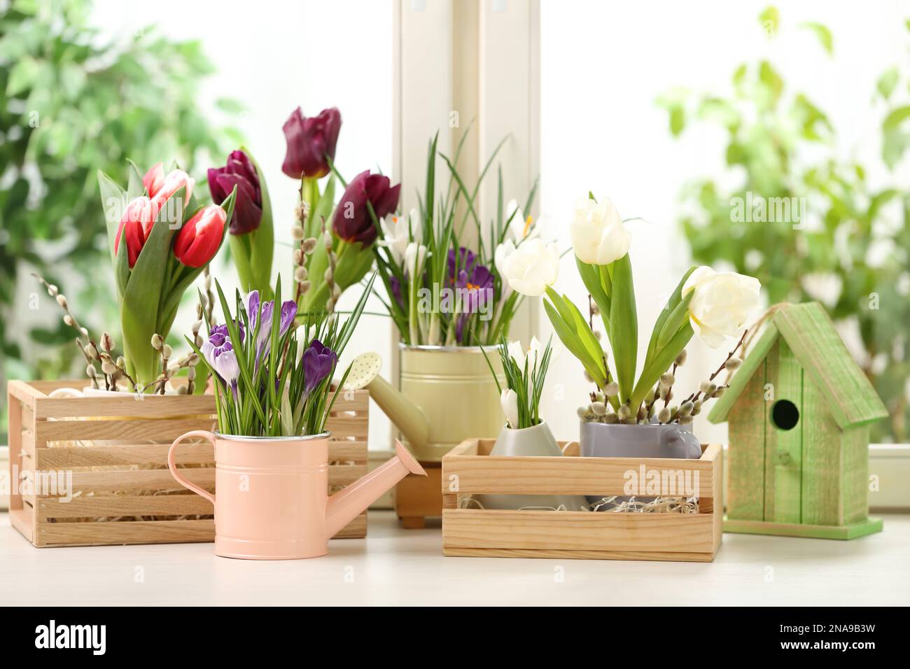 Different beautiful spring flowers with birdhouse on window sill Stock ...