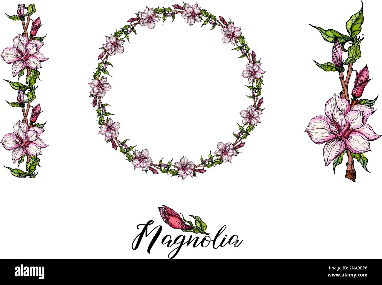 Set of vector flower arrangements with Magnolia flowers. Delicate ...
