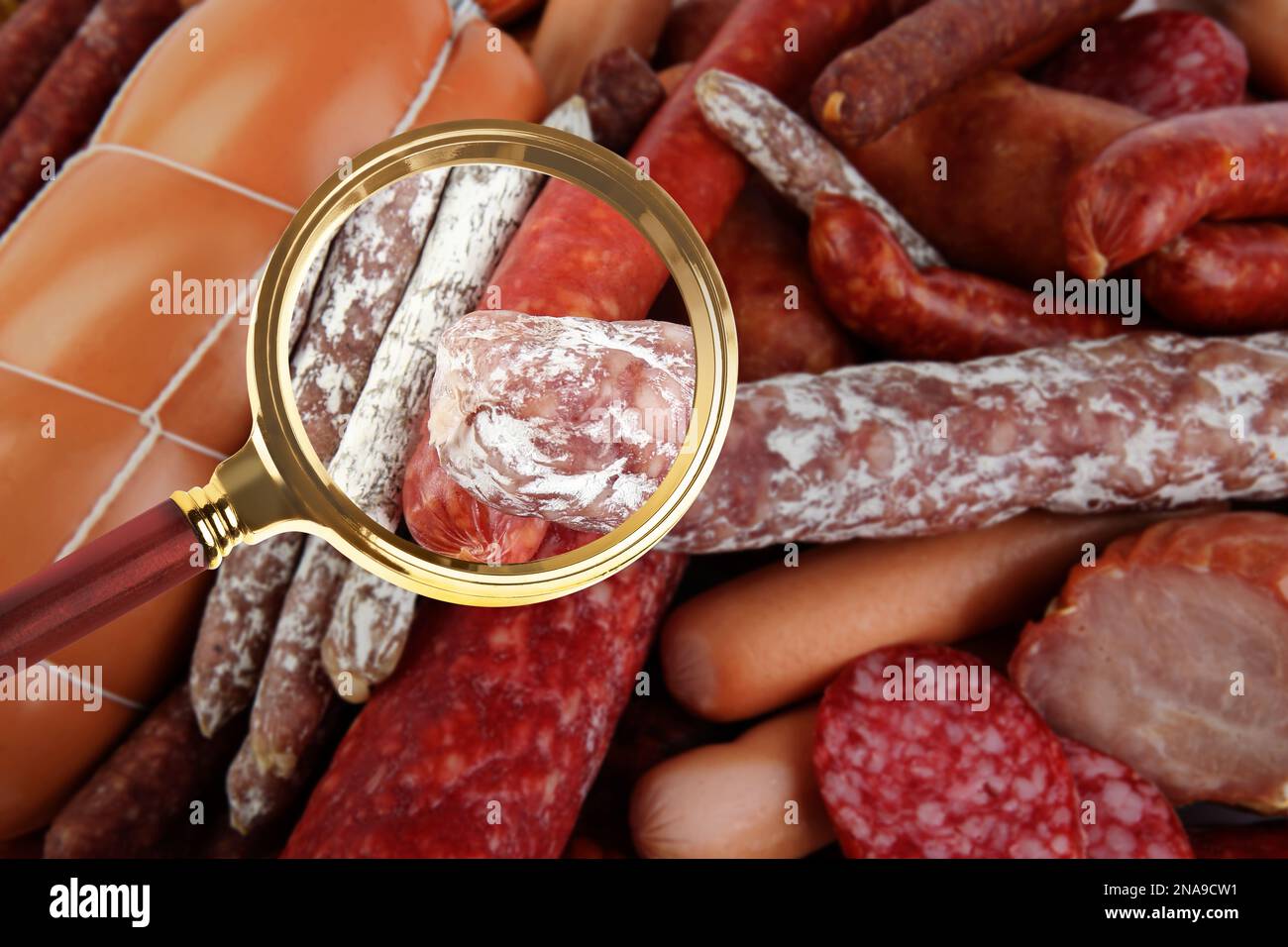 Magnifying glass focusing on sausage. Food control Stock Photo - Alamy