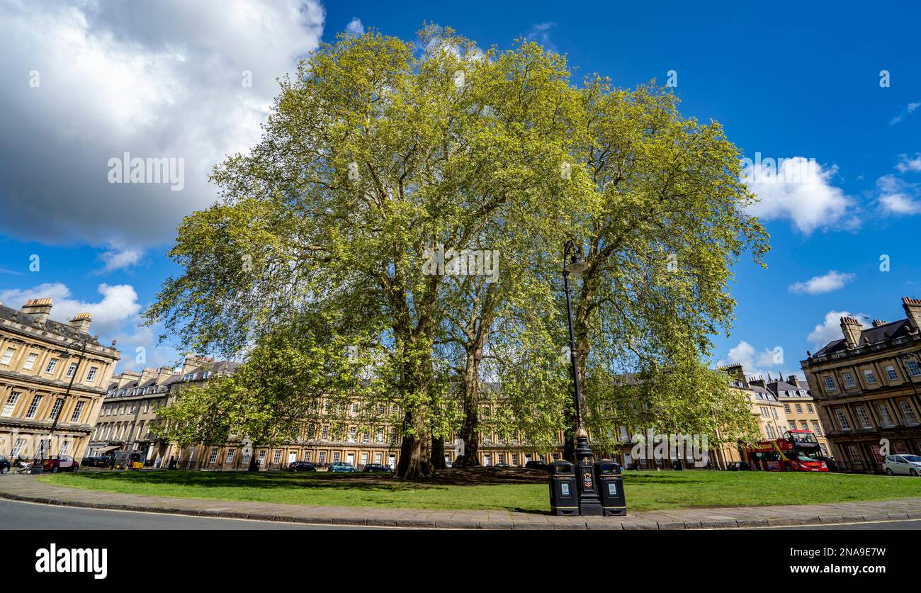 Bath circus 18th century hi-res stock photography and images - Alamy