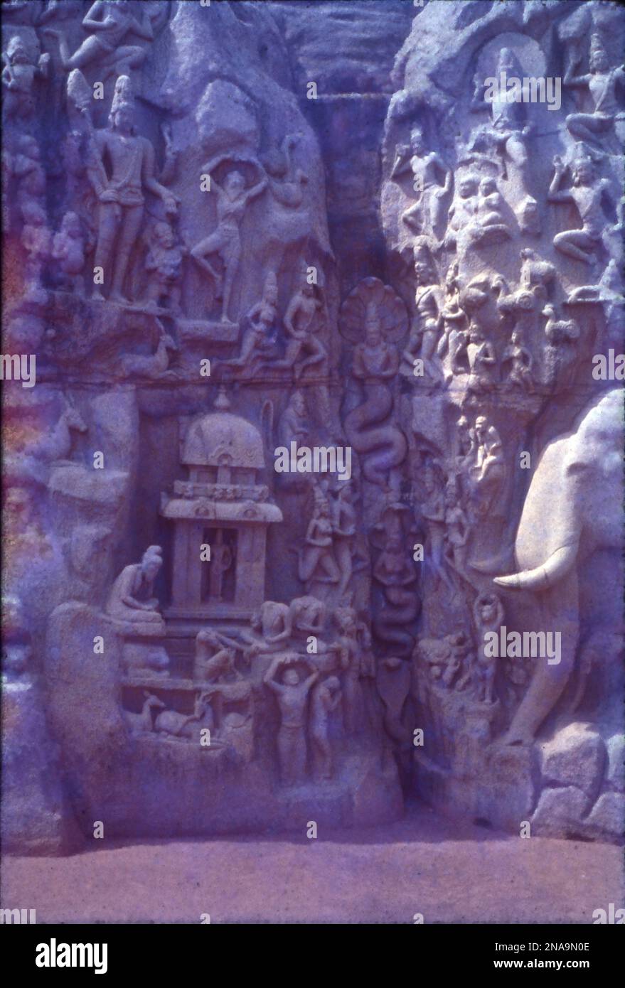 The Shore Temple is a complex of temples and shrines that overlooks the ...