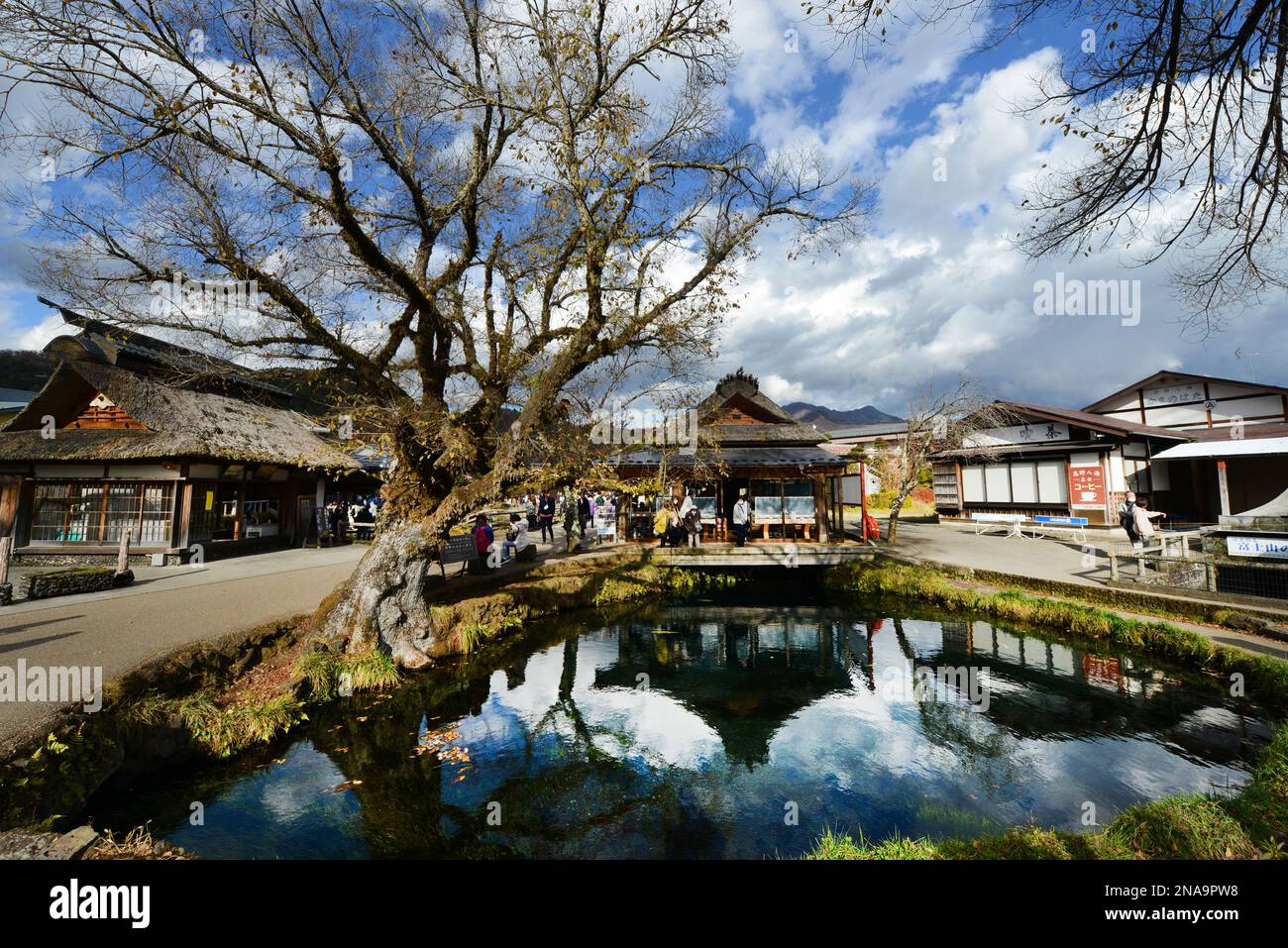Wakuike pond at the Oshino Hakkai springs in Yamanashi prefecture in Japan Stock Photo - Alamy