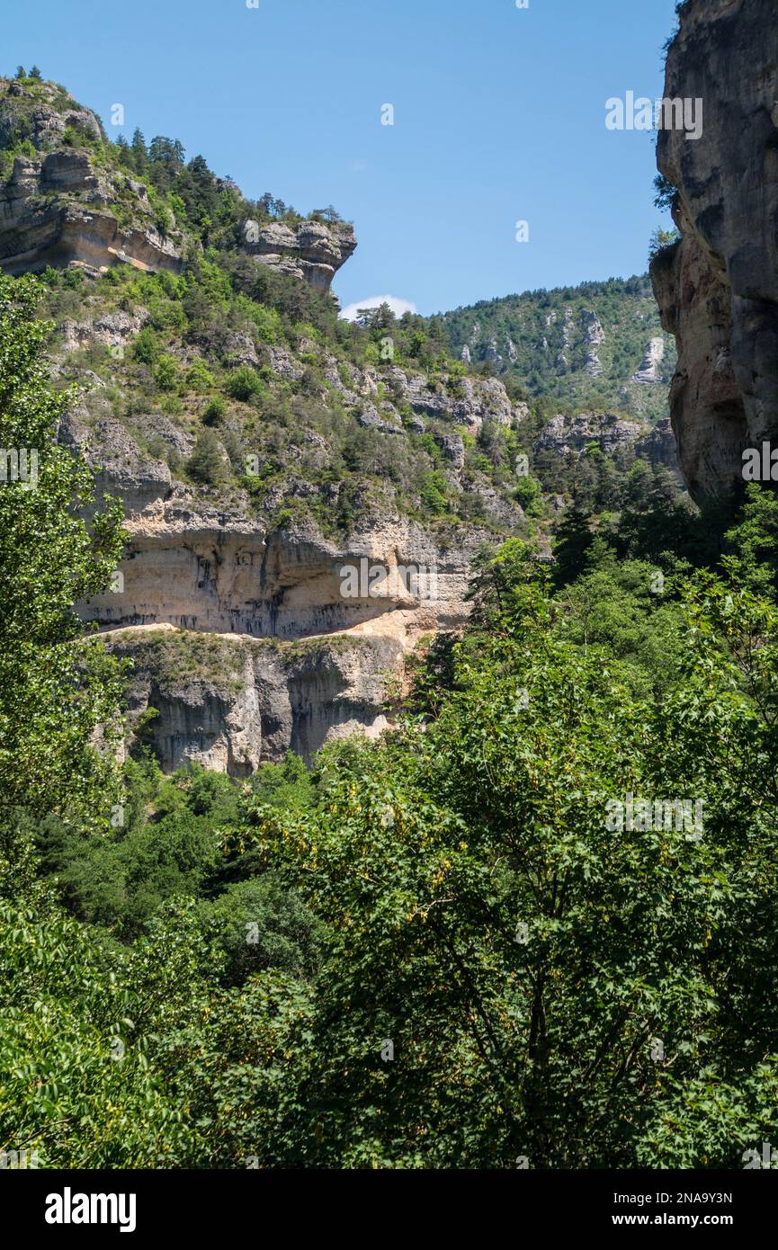 A vertical shot of rocky mountains covered with greenery in La Malene ...