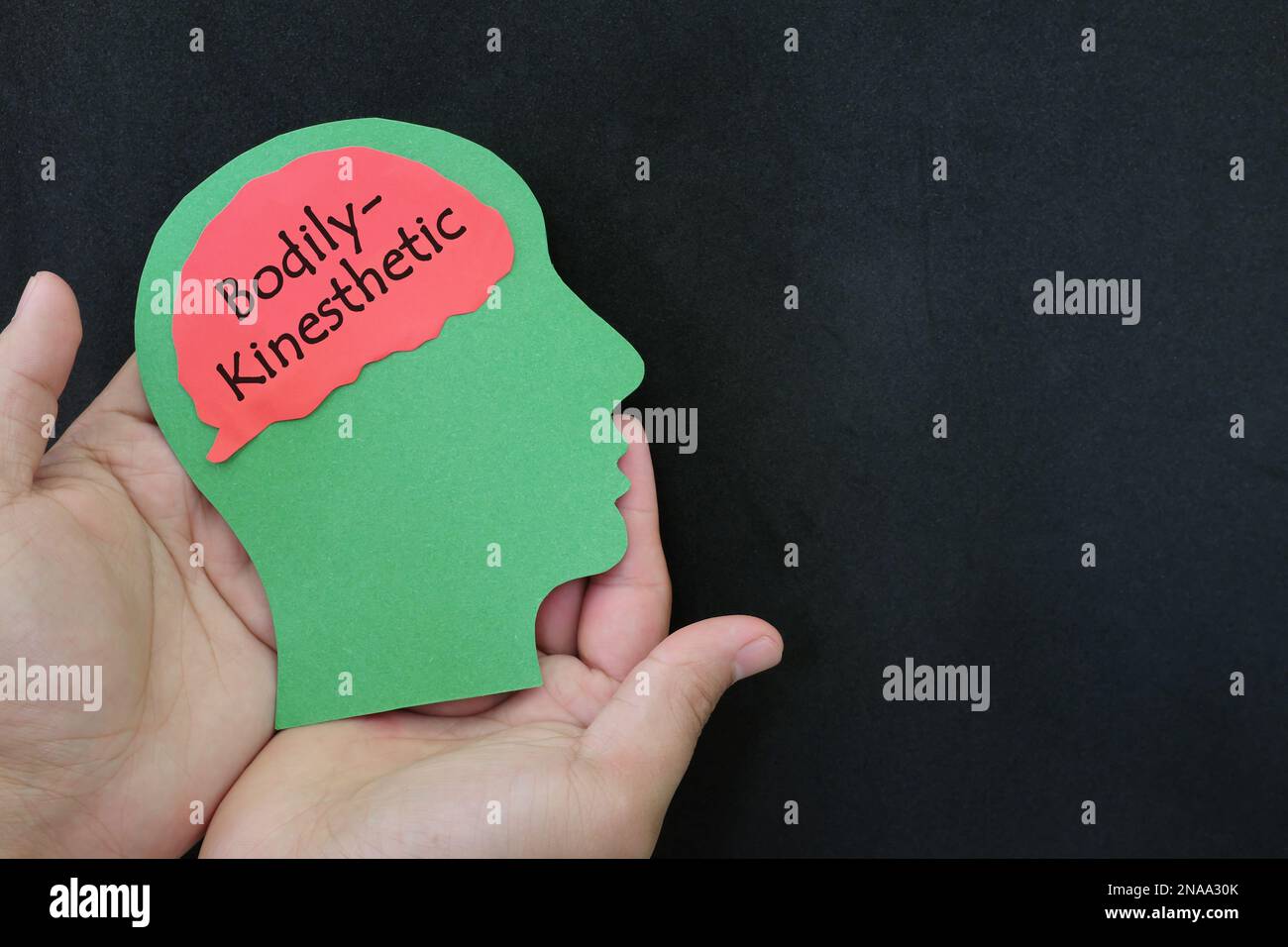 Kinesthesis Psychology