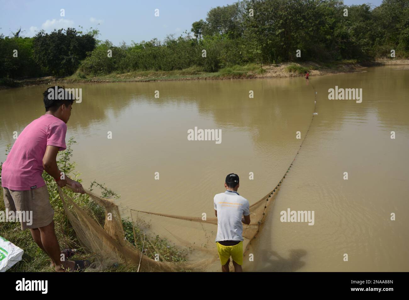 Cambodian young boys setup nets to catch fish in a pond. Fish provide ...