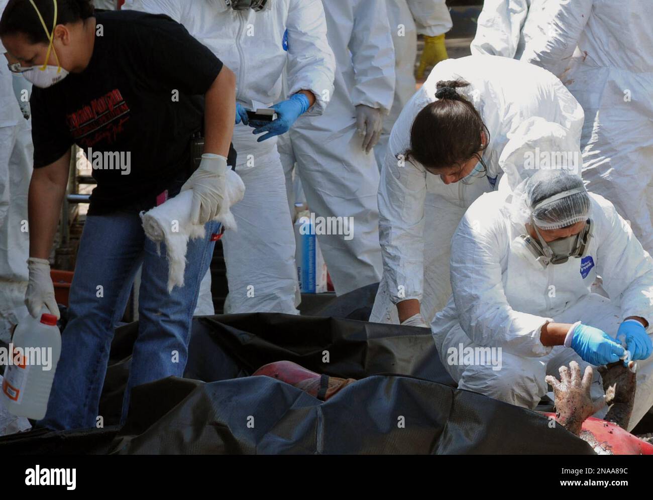 Forensic workers begin the process of identifying bodies as they are ...