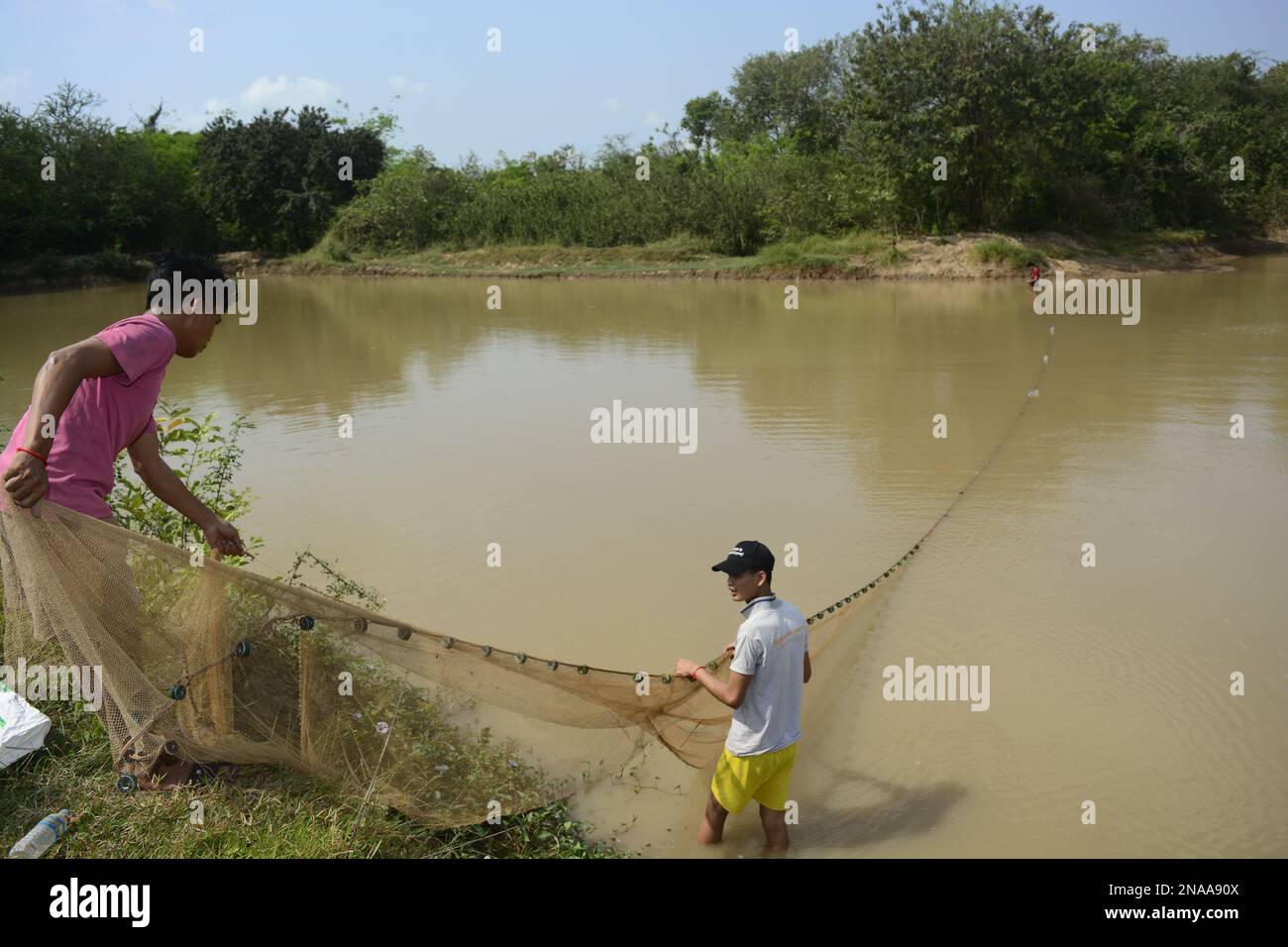 Cambodian young boys setup nets to catch fish in a pond. Fish provide ...