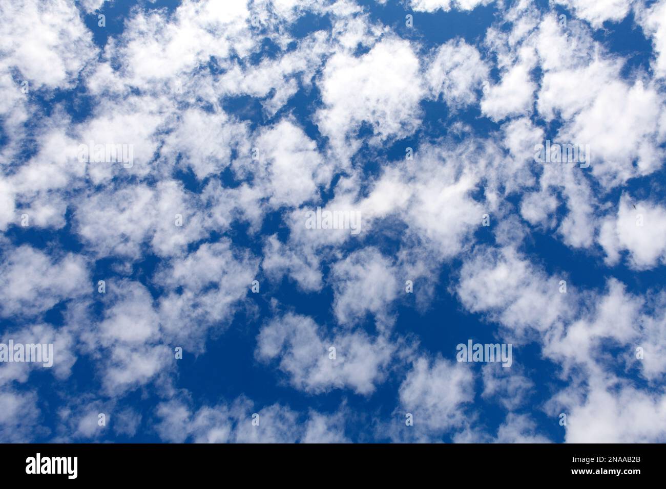 Blue sky and white dots, clouds. Fluffy small white dots in the sky ...