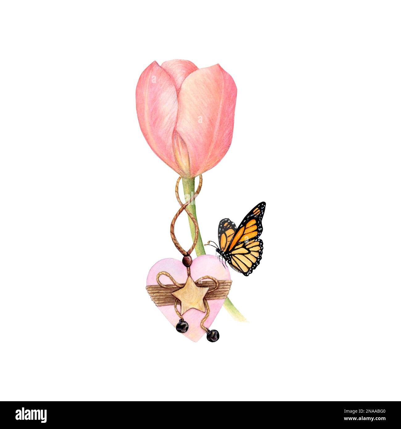 Watercolour drawing of luxurious pink tulip with a butterfly and wooden ...