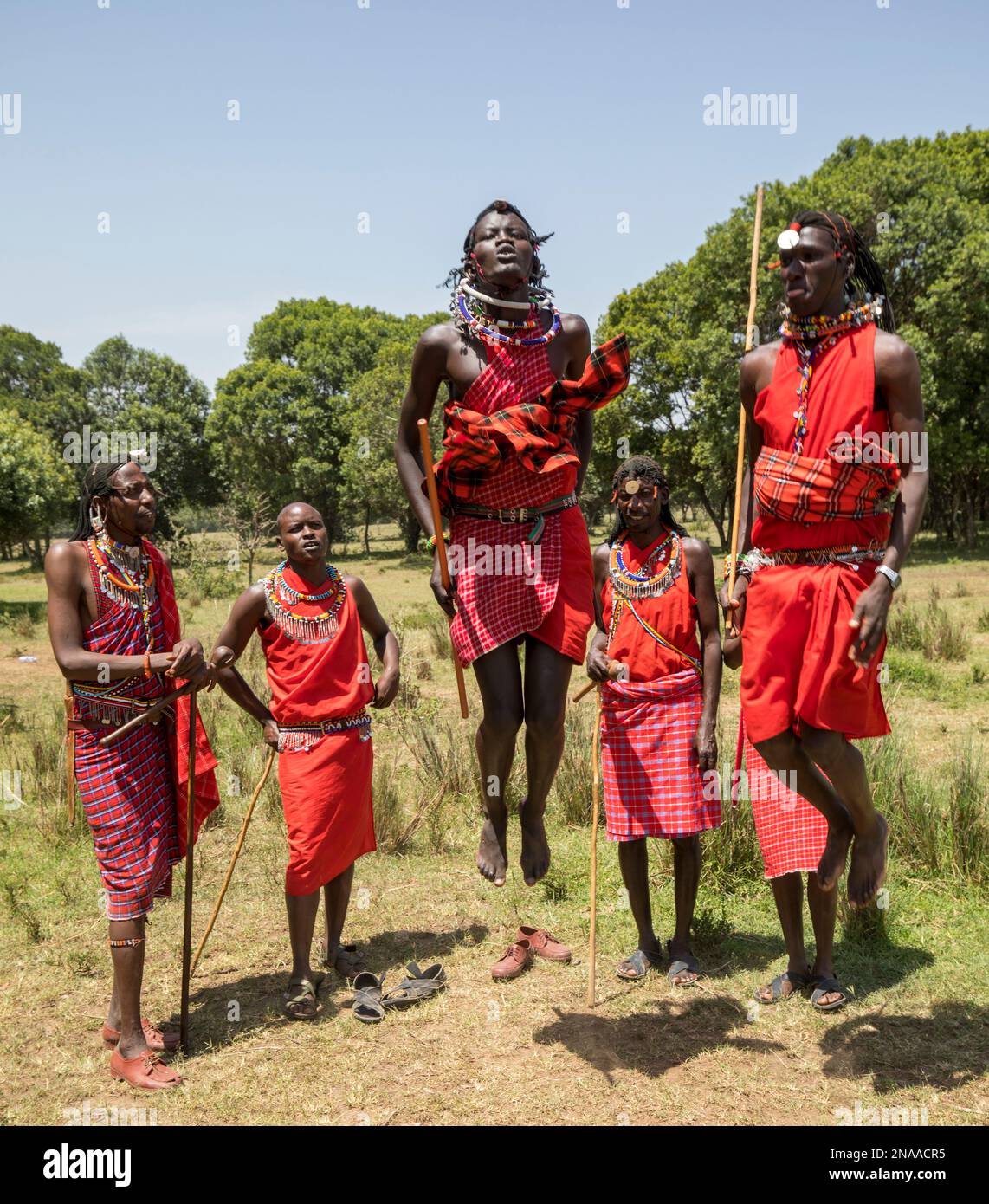 Maasai dancers in the Maasai Mara National Reserve, Kenya, Africa ...