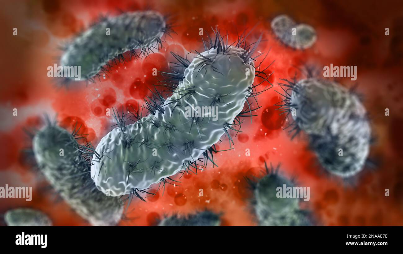 Bacteria group in the blood under microscope. 3D illustration Stock ...