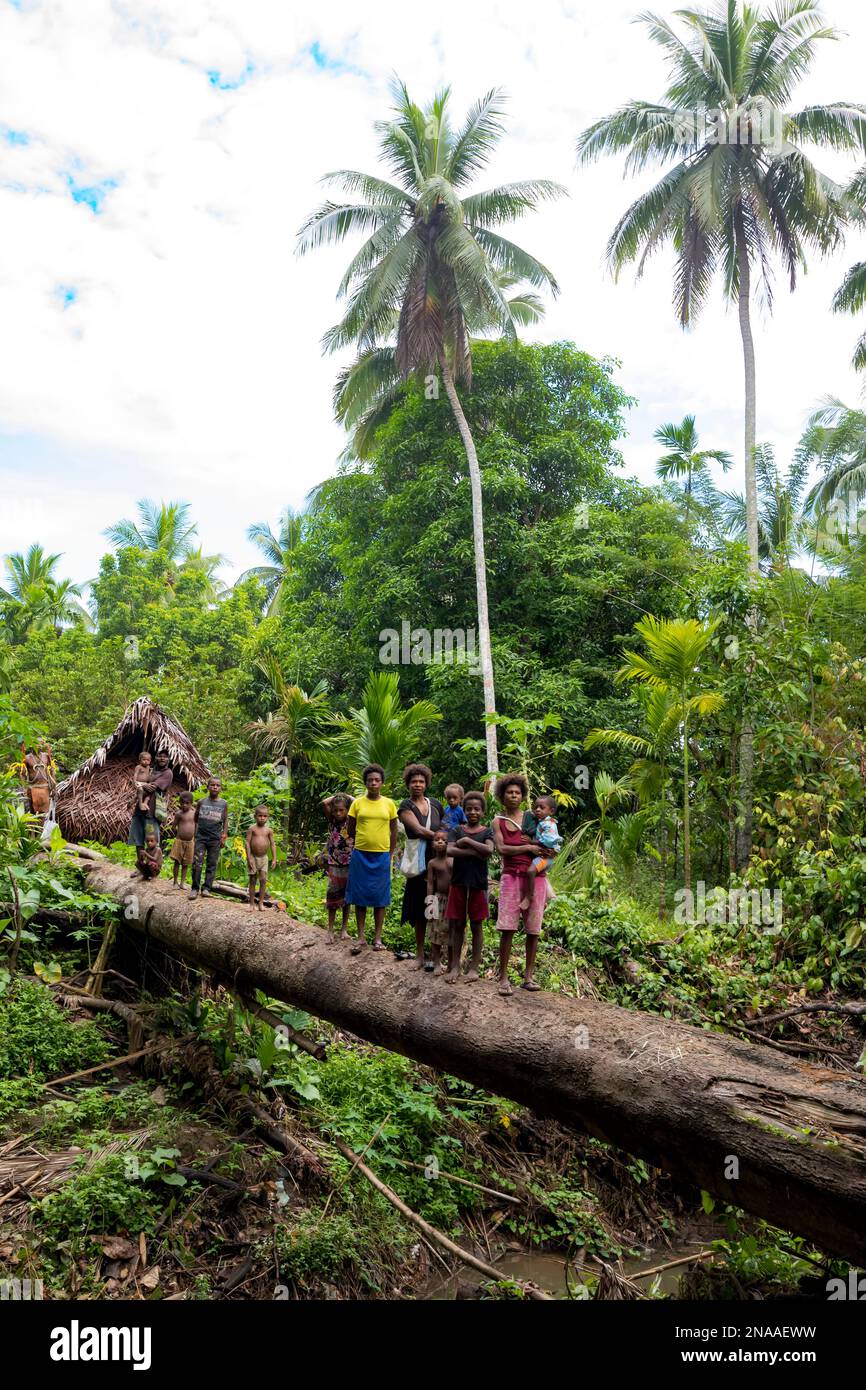Bridge over ravine hi-res stock photography and images - Alamy