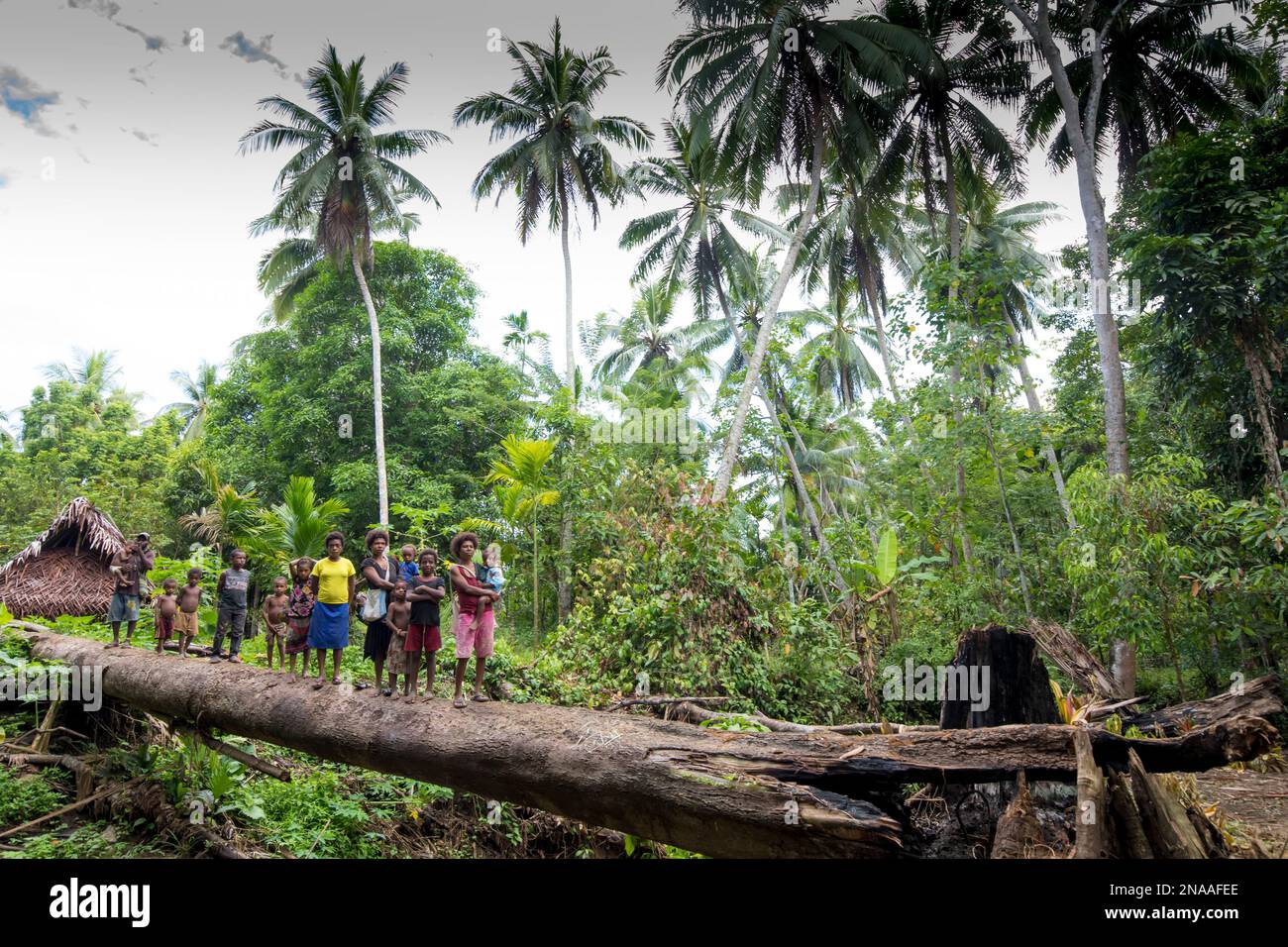 Bridge over ravine hi-res stock photography and images - Alamy