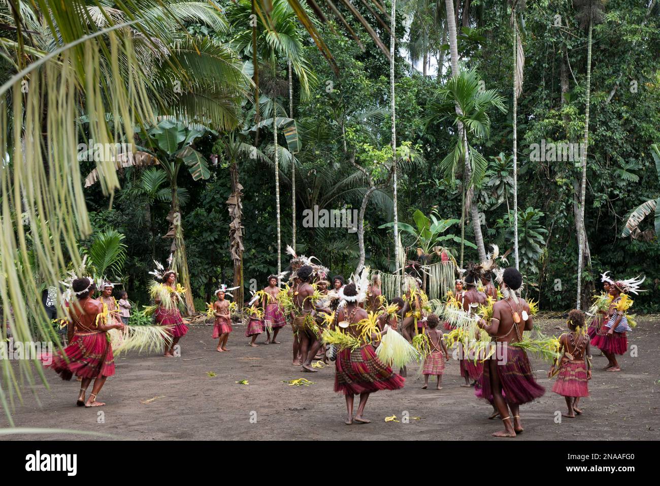 Villagers performing traditional sing sing Melanesian tribal dance in ...