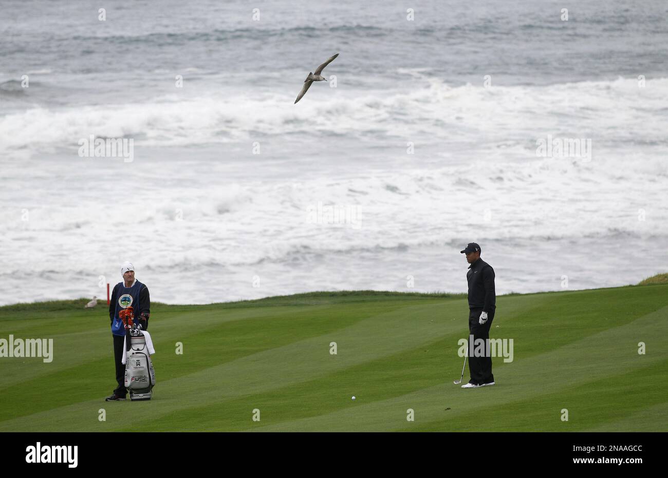Tiger Woods, right, and caddy Joe LaCava are shown at Pebble Beach Golf ...
