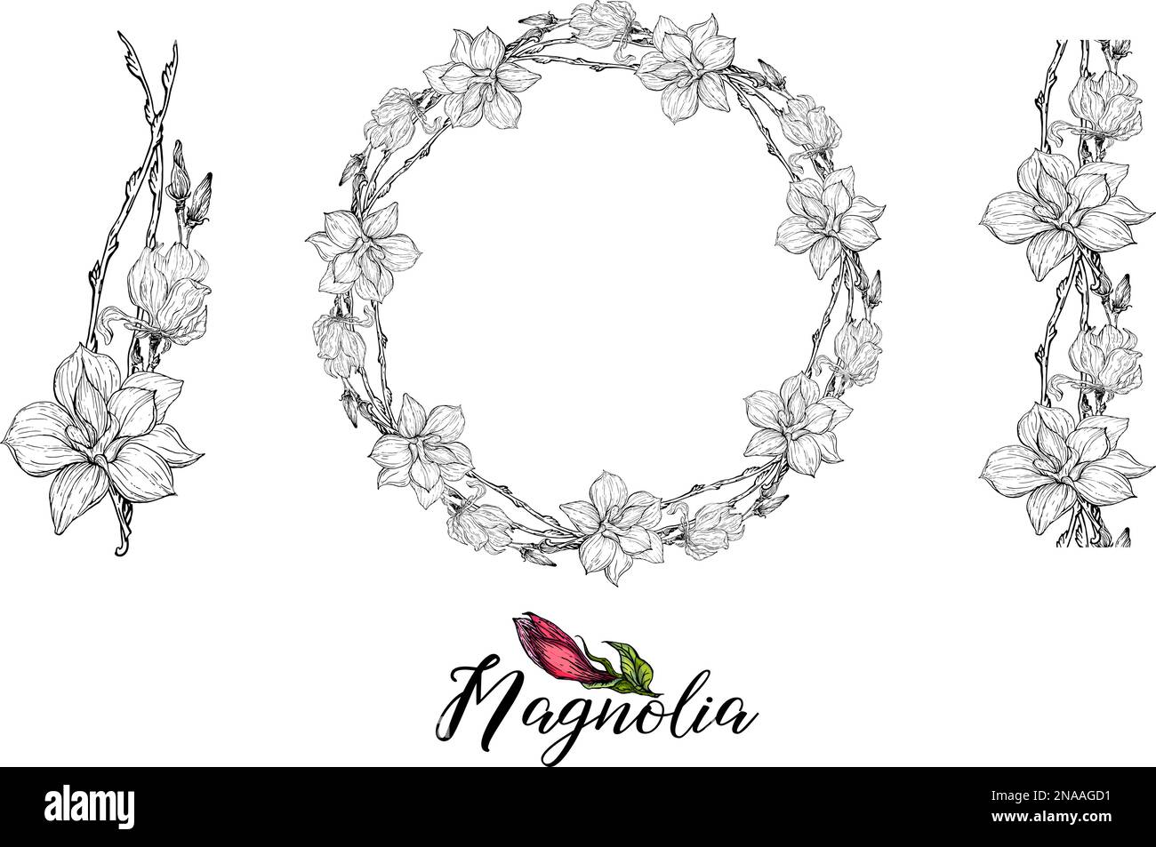 Set of vector flower arrangements with Magnolia flowers. Delicate ...