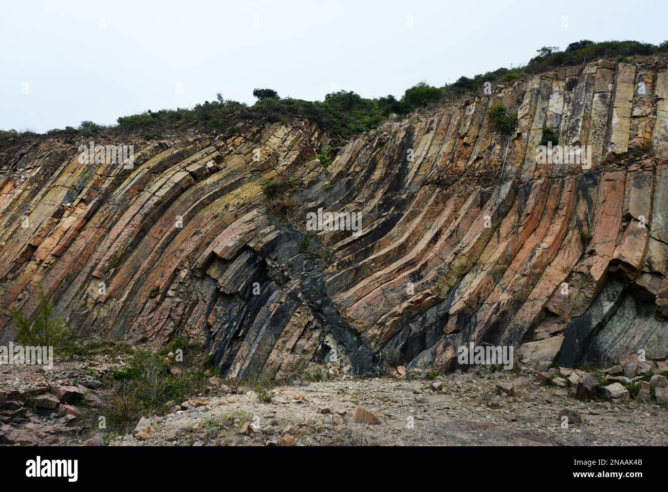 Early Cretaceous rhyolitic columnar rock formation located in the ...