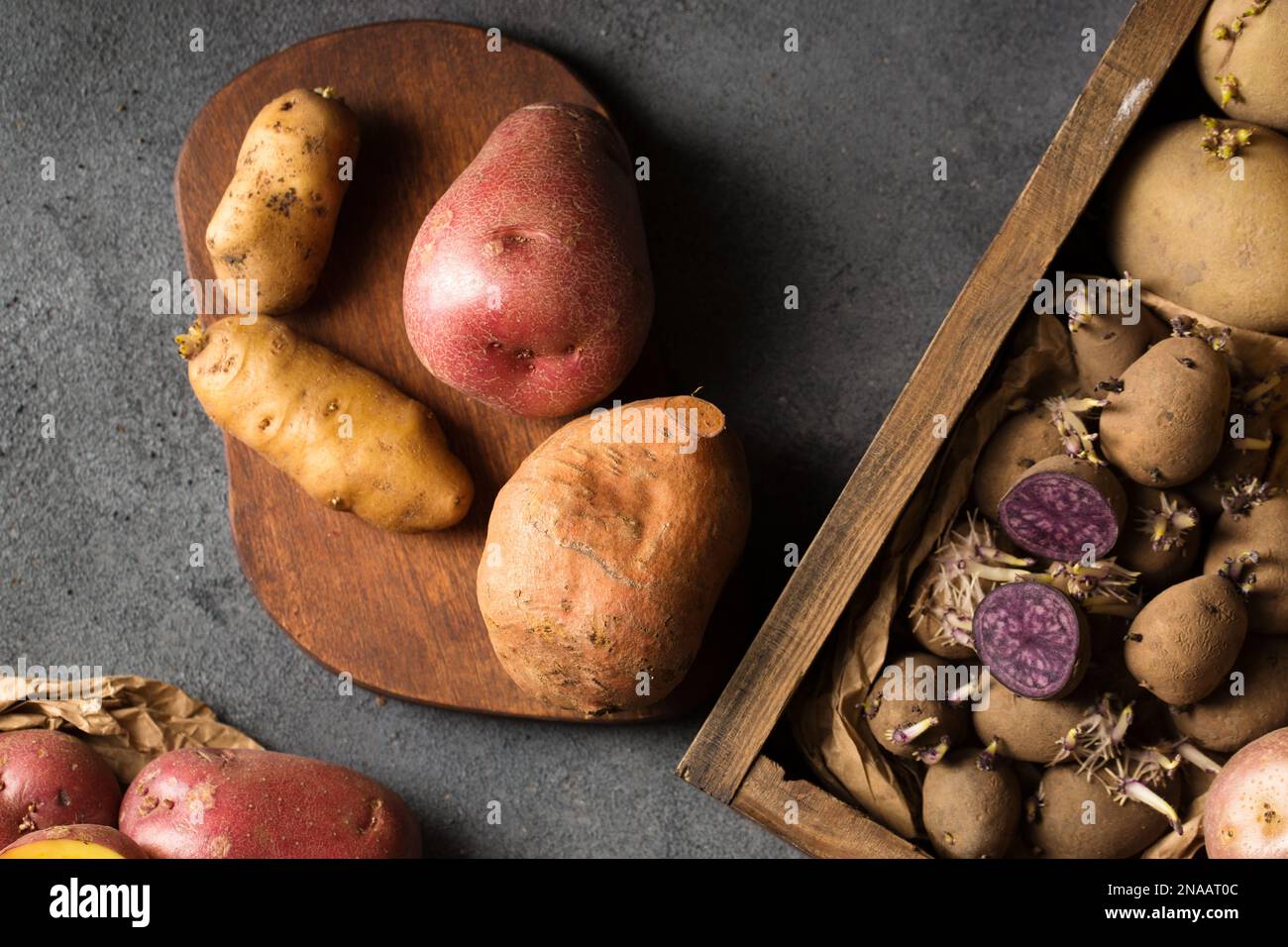 Various varieties of potatoes. Germination of sprouts on potatoes for ...
