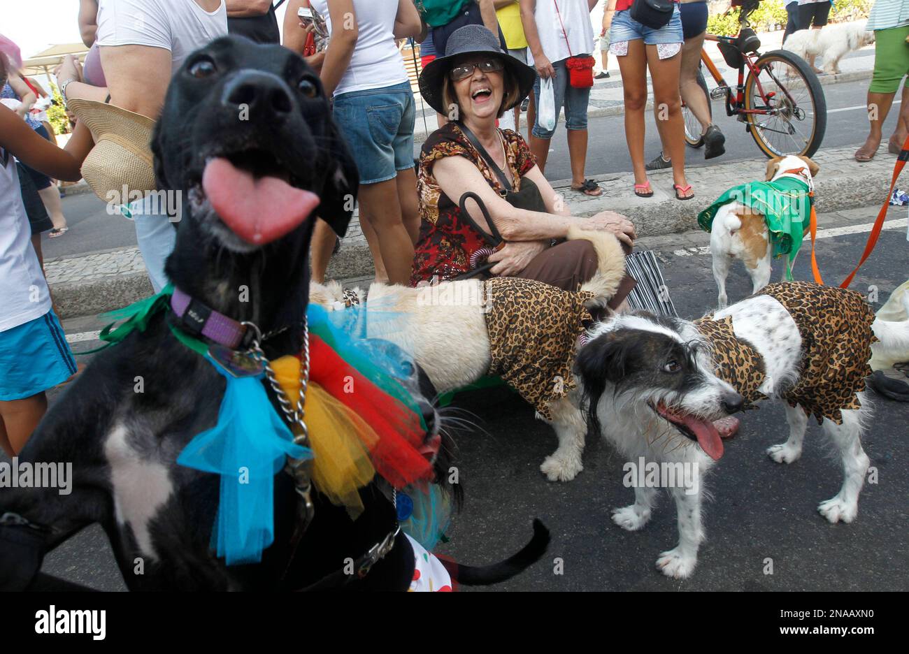 Disguised dogs attend the "Blocao" dog carnival parade as a woman ...