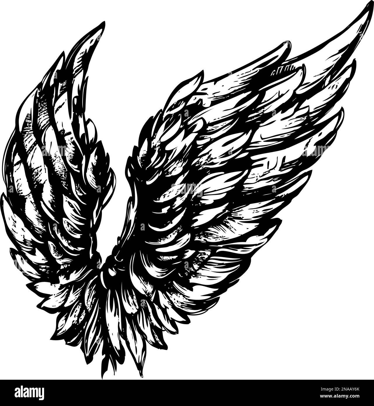 Angel wings, bird wings collection cartoon hand drawn vector ...