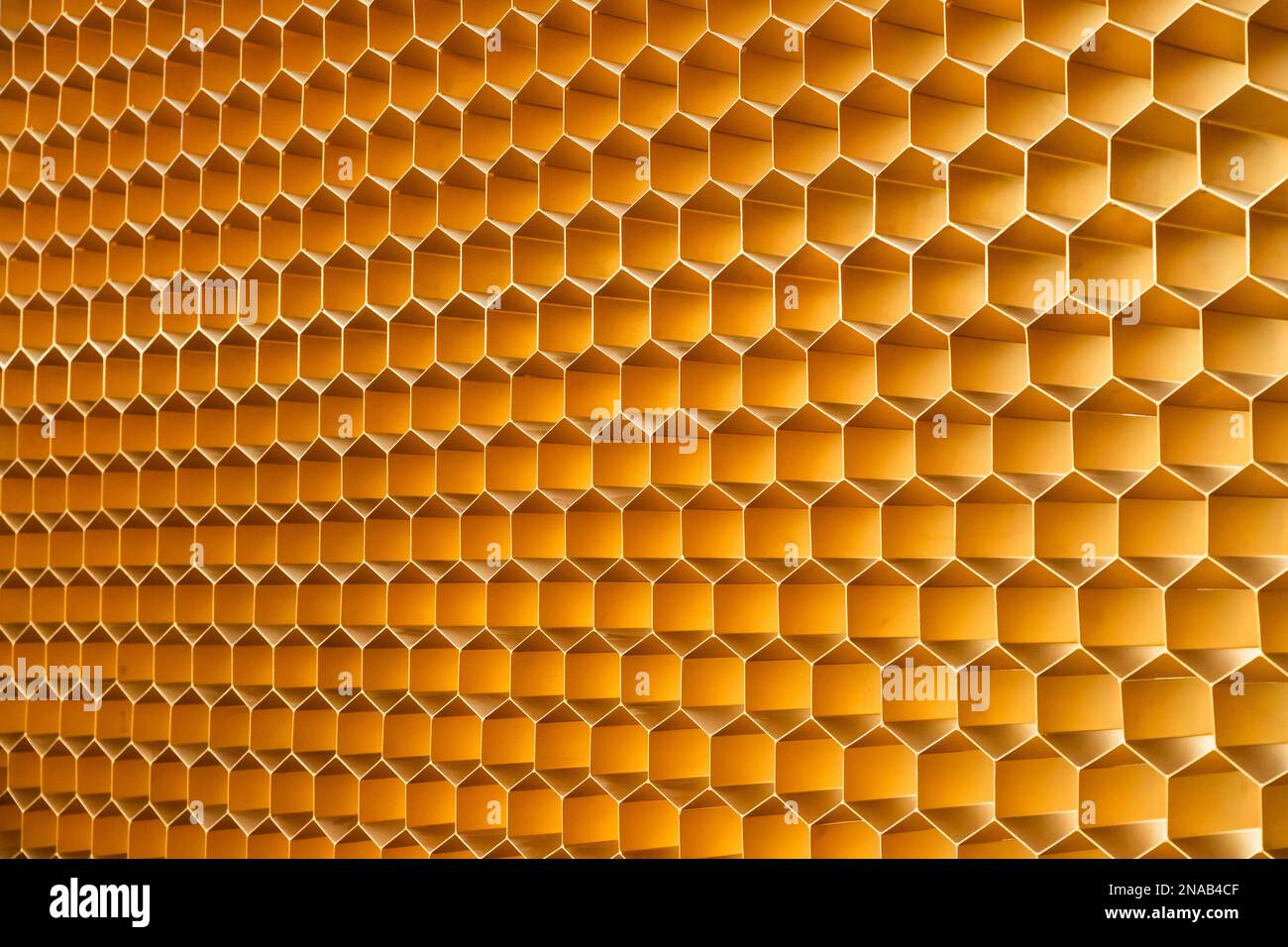 Honey color golden honeycomb. Abstract texture background full frame ...