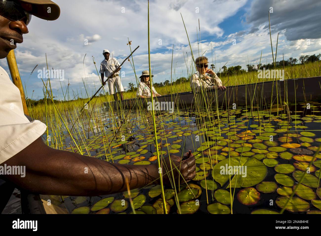 MODEL RELEASED: Mocorro, traditional canoe, Water Lilies (Nymphaea ...