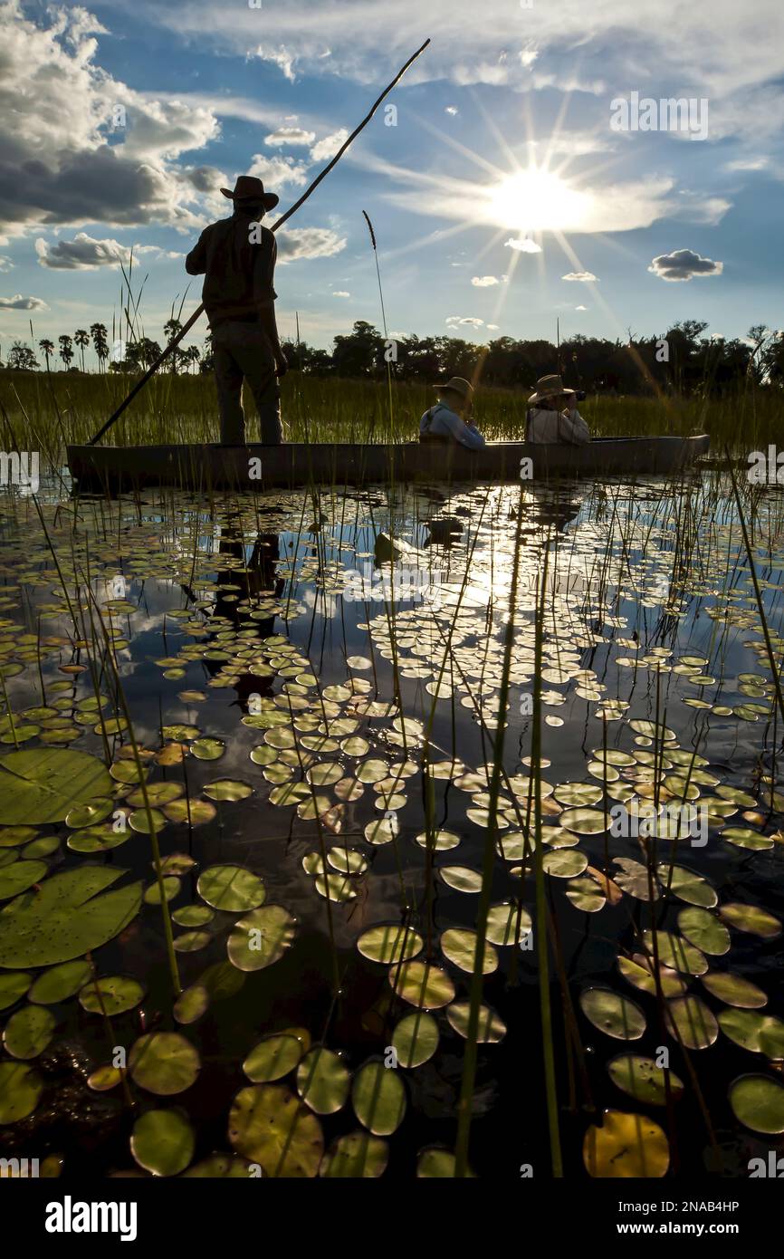 MODEL RELEASED: Mocorro, traditional canoe, Water Lilies (Nymphaea ...