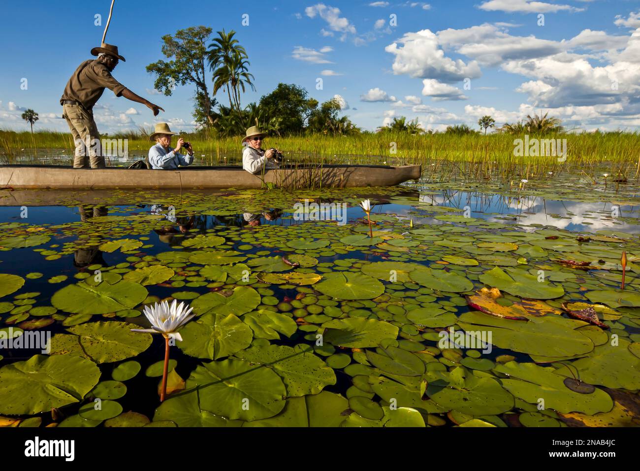 MODEL RELEASED: Mocorro, traditional canoe, Water Lilies (Nymphaea ...