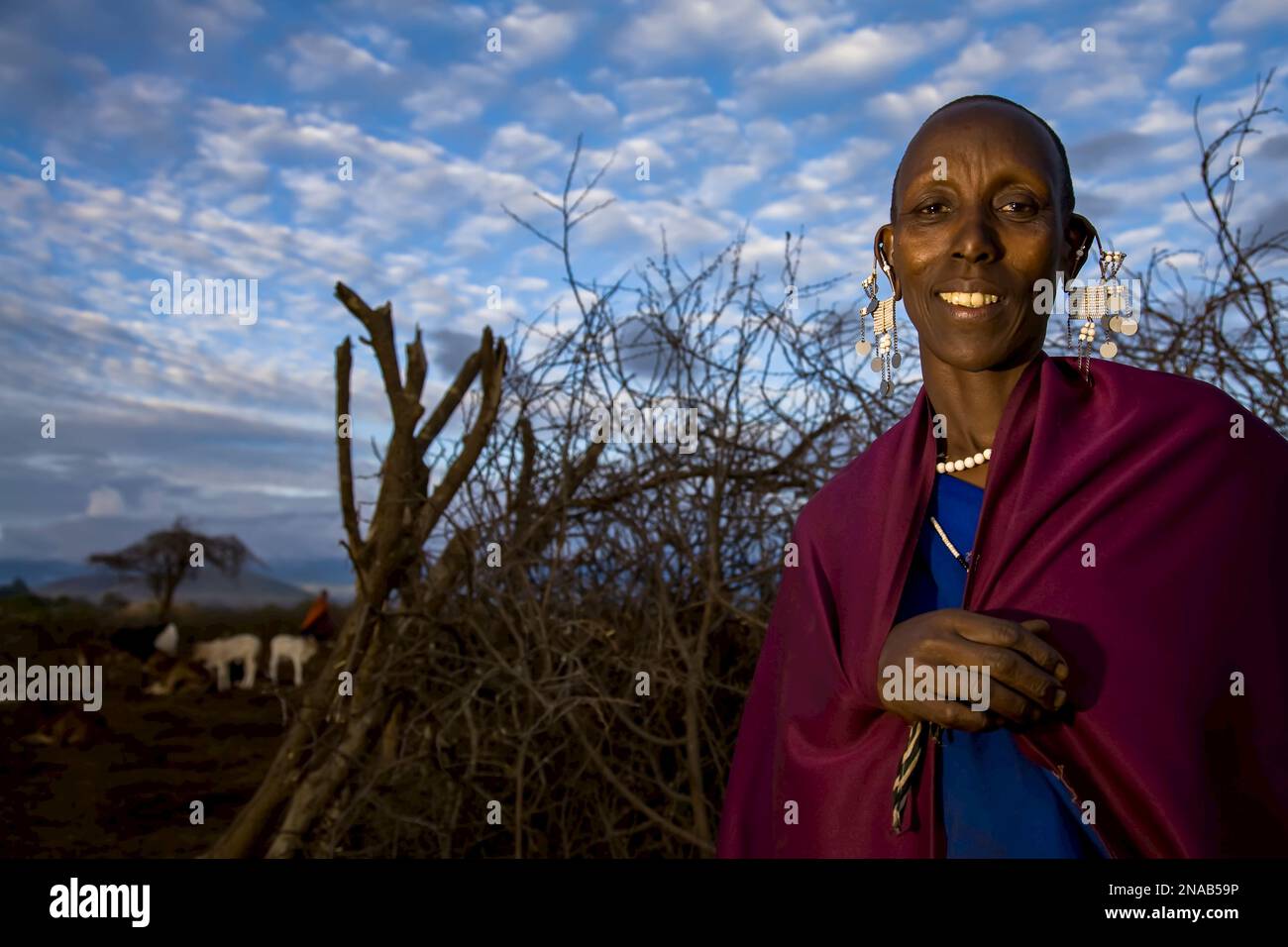 Portrait of a Masai woman Stock Photo - Alamy