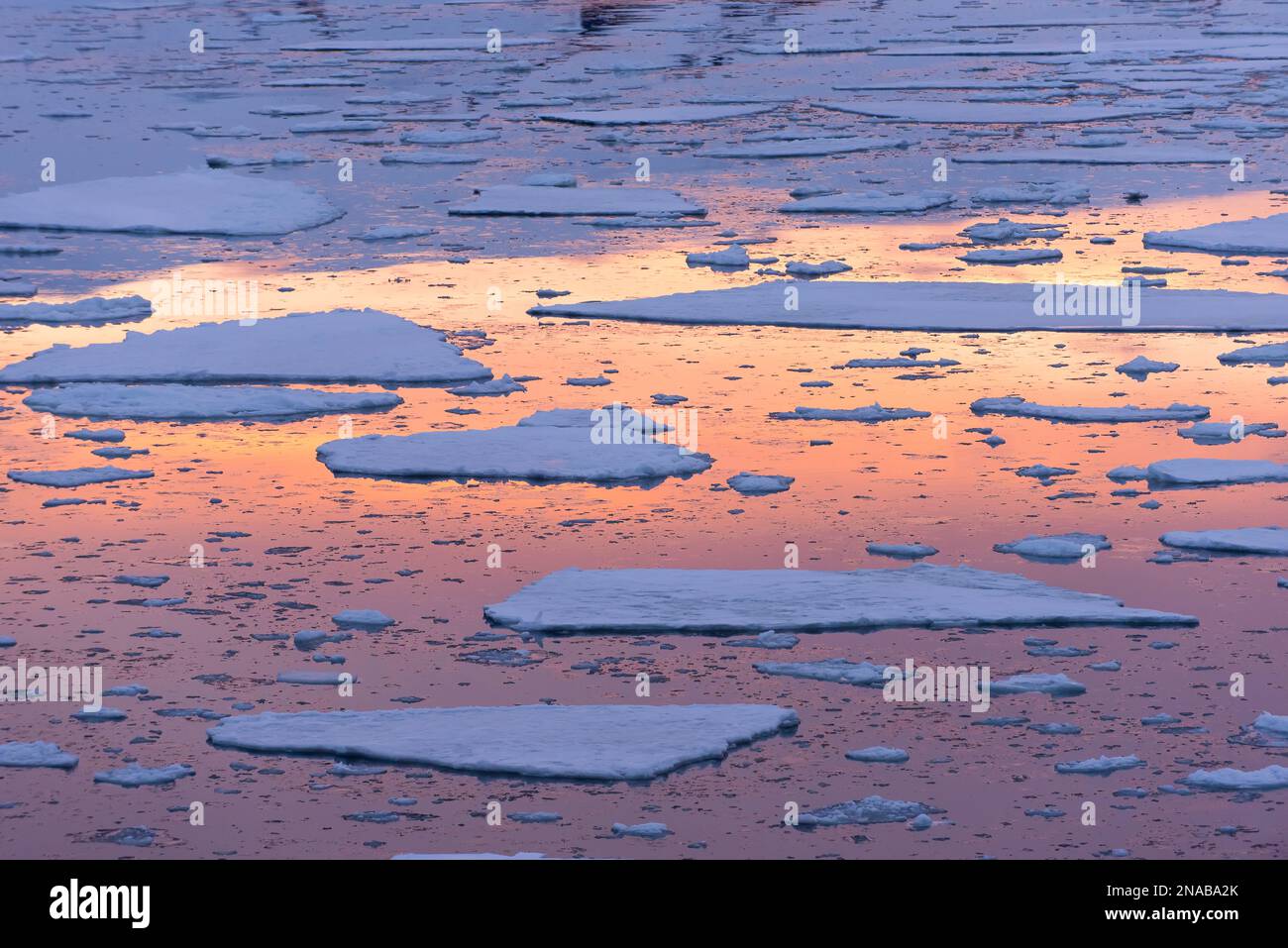 Fractured sea ice inside Port Foster, Deception Island, South Shetland ...