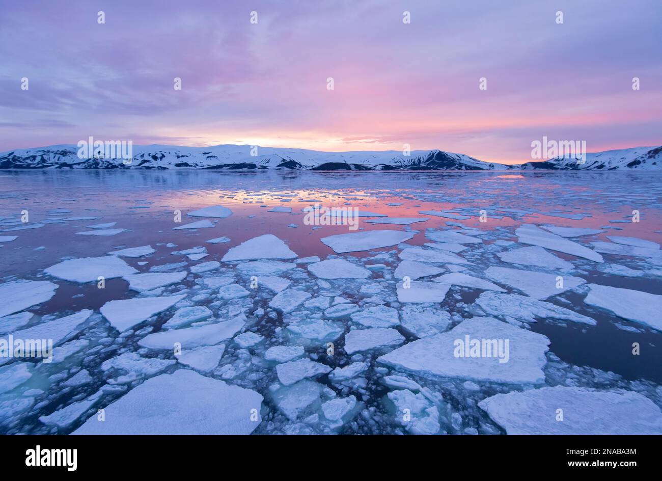 Fractured sea ice inside Port Foster, Deception Island, South Shetland ...