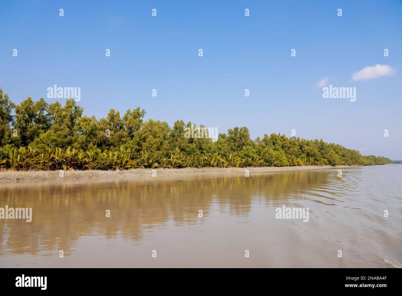 Sundarbans is a tidal wetland forest delta with an area of about 10,200 ...