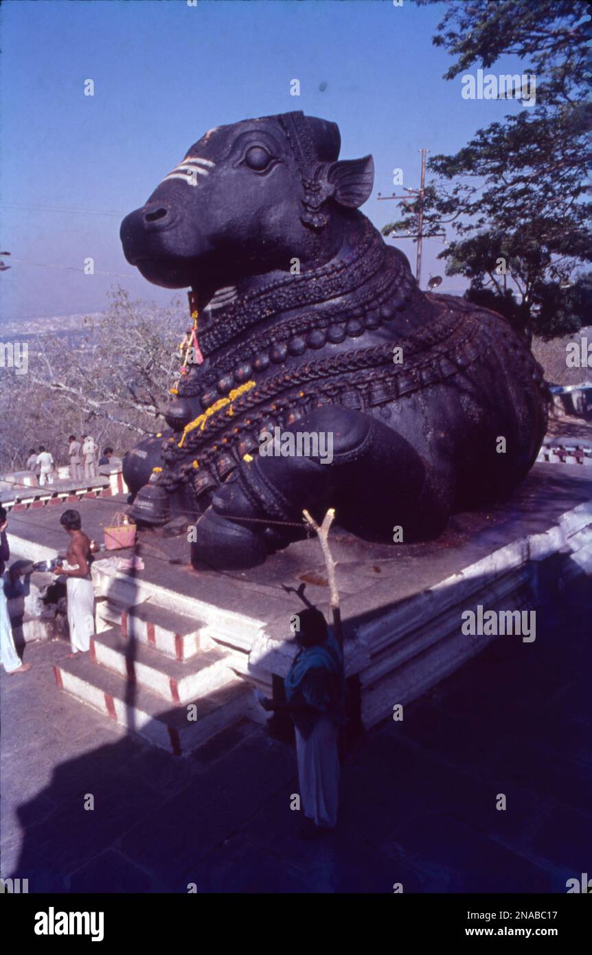 Hindu temple dedicated to Nandi with a massive, popular sculpture of a ...