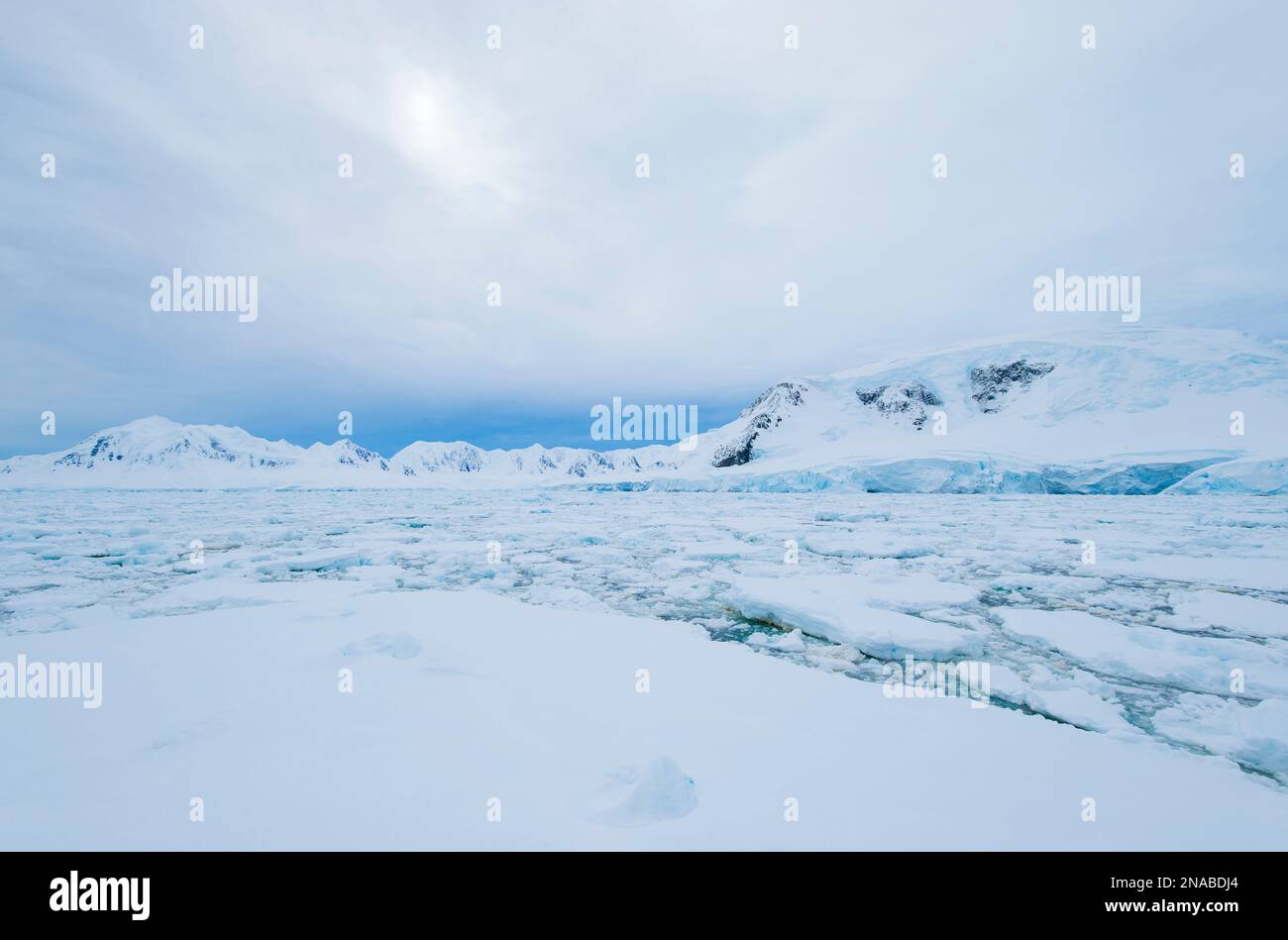 Pack ice in the Neumayer Channel; Antarctica Stock Photo - Alamy