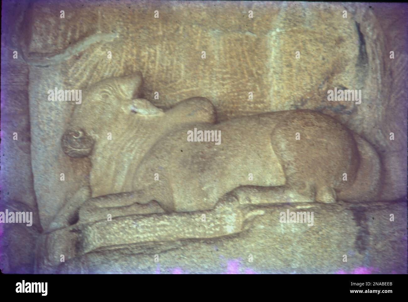 Nr mahabalipuram temple hi-res stock photography and images - Alamy