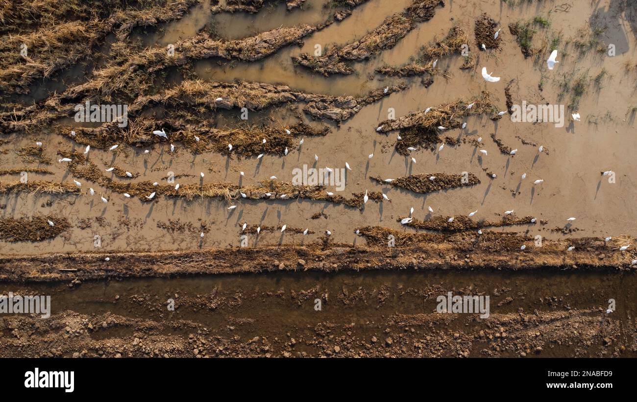 Light fly hi-res stock photography and images - Alamy