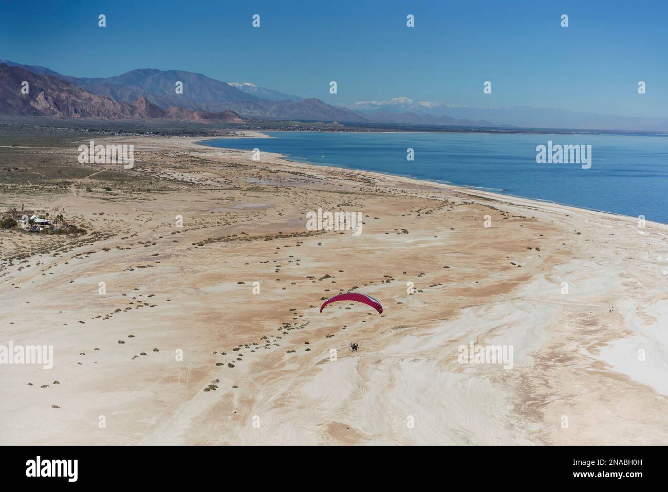 Flying along beach hi-res stock photography and images - Alamy