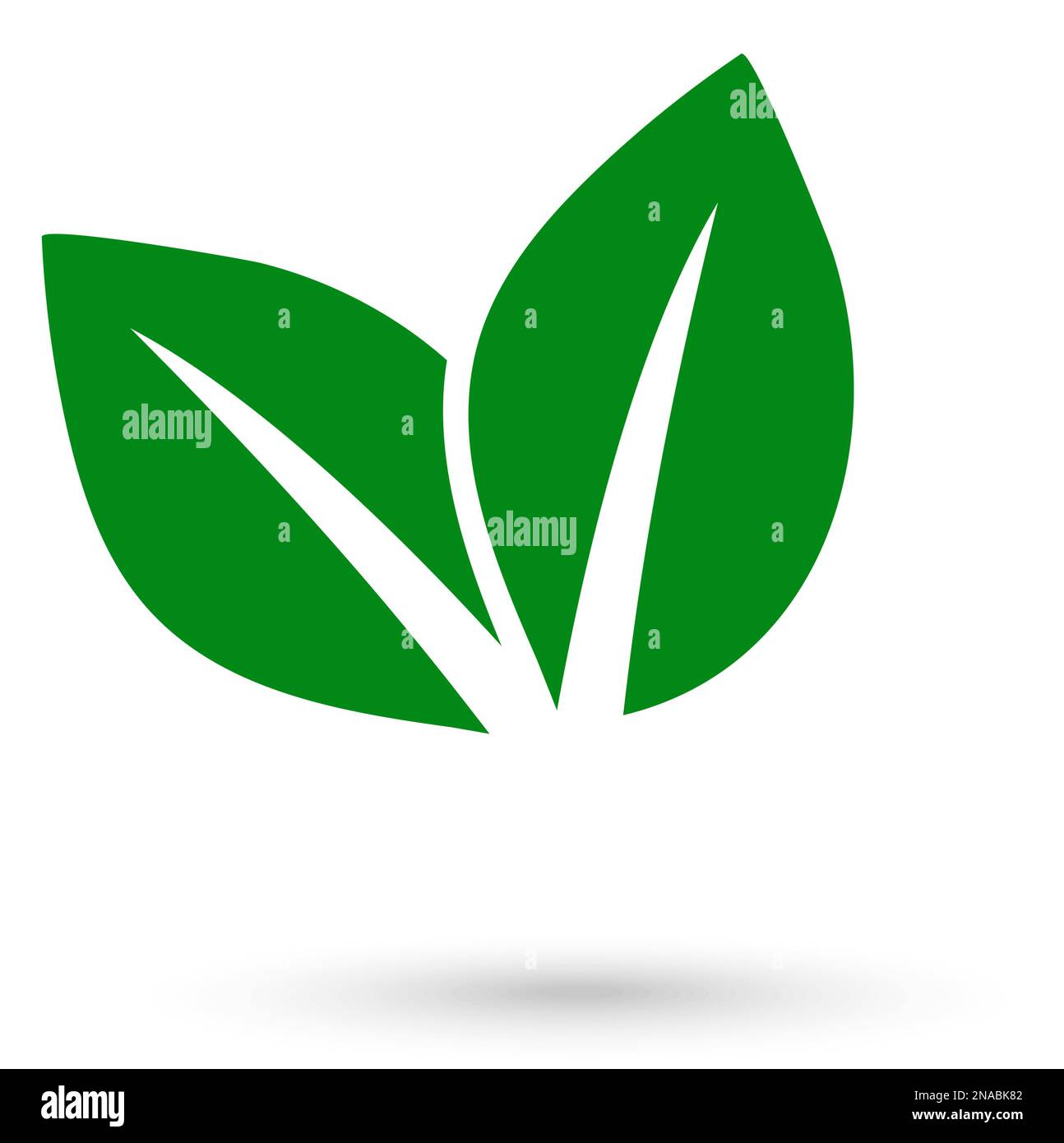 Leaf logo and banner for company lettering Stock Vector Image & Art - Alamy