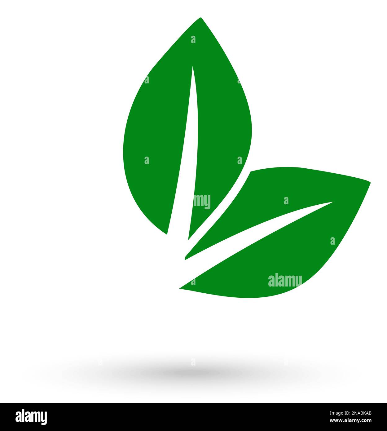 Leaf logo and banner for company lettering Stock Vector Image & Art - Alamy