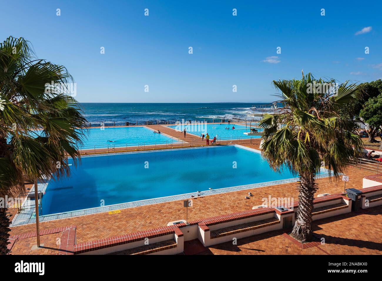 Swimming pools with bright blue water and palm trees at Sea Point in ...
